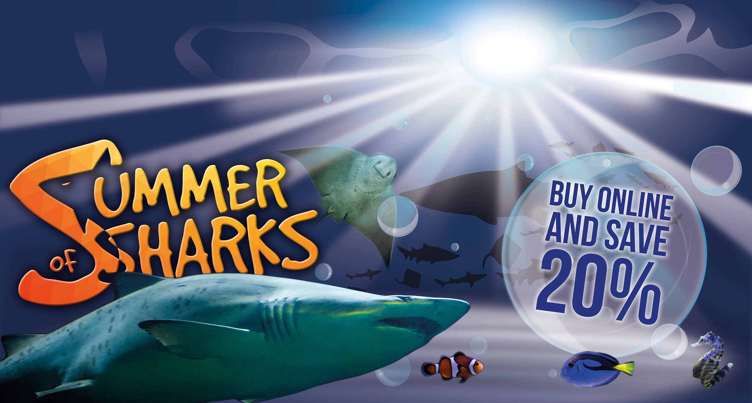 Deep Sea World: Scotland's National Aquarium