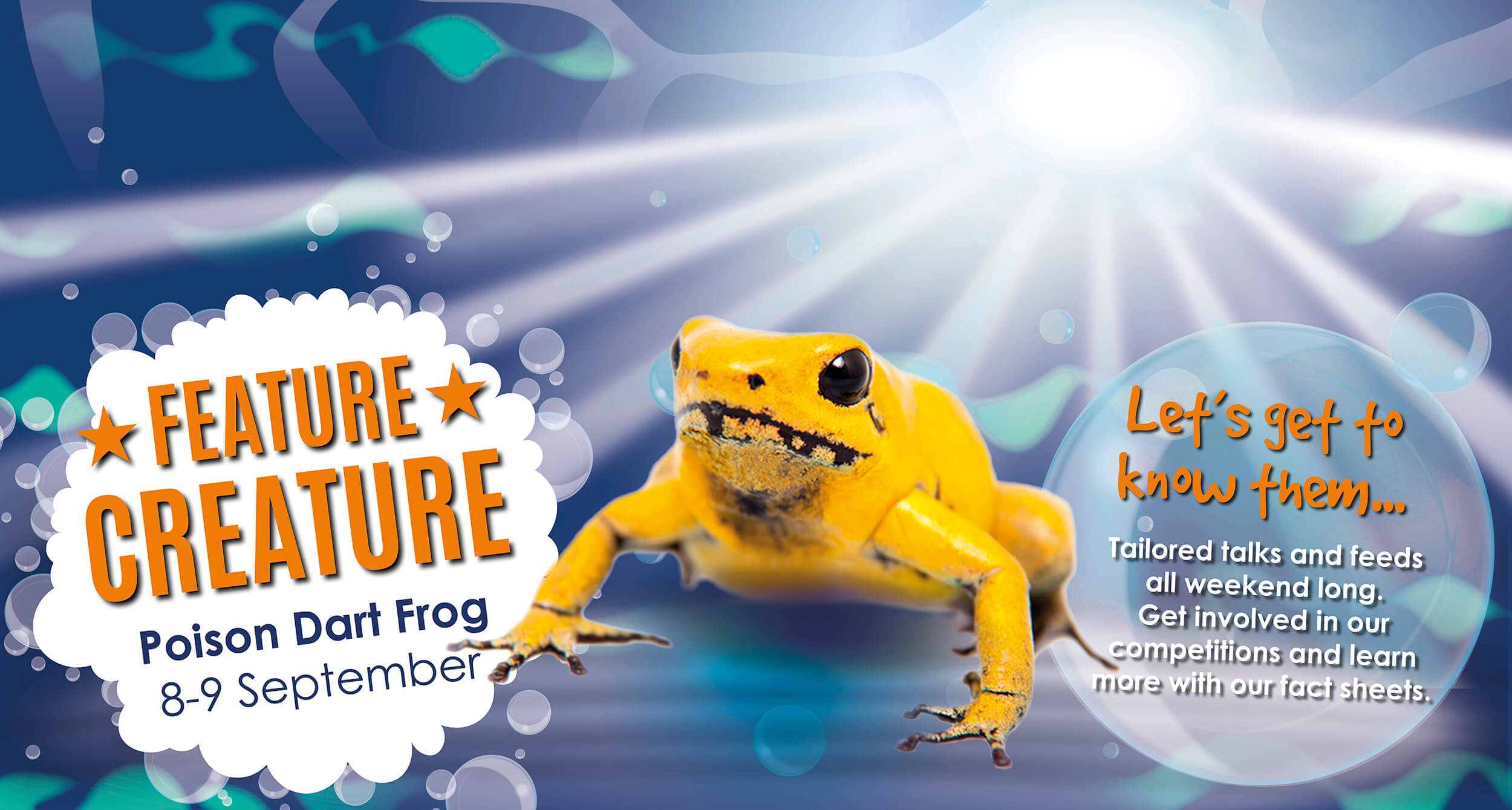 Deep Sea World: Scotland's National Aquarium