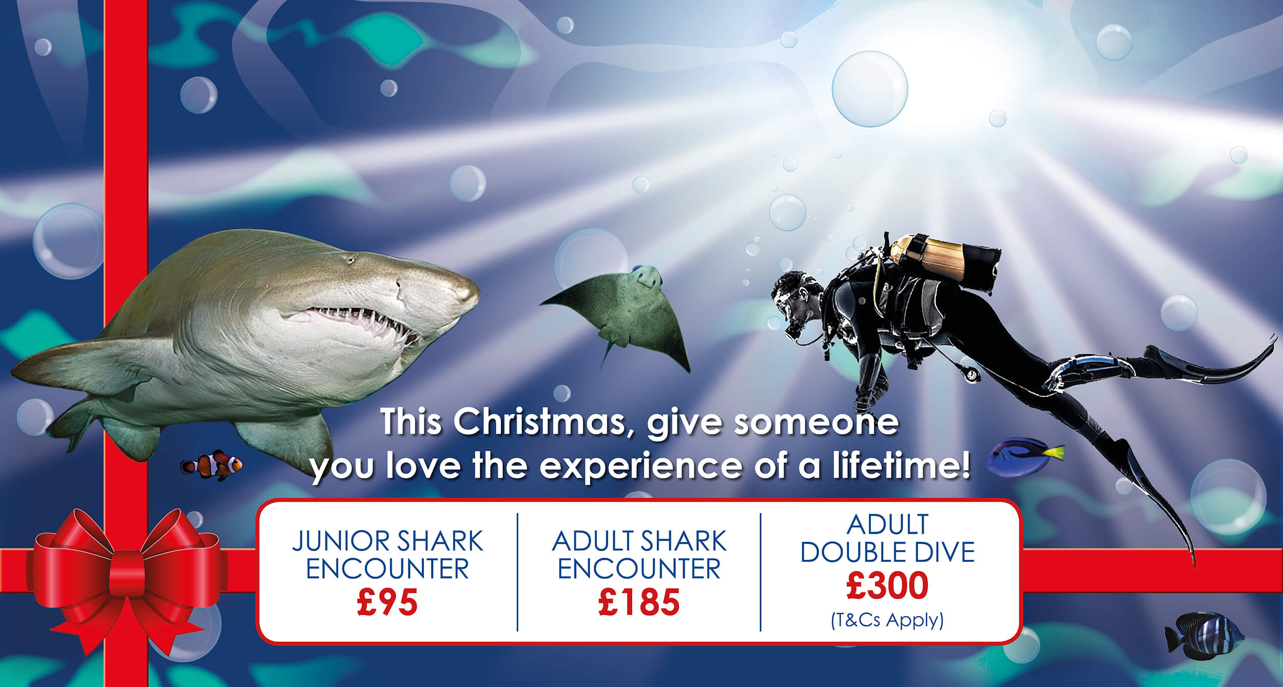 Deep Sea World: Scotland's National Aquarium