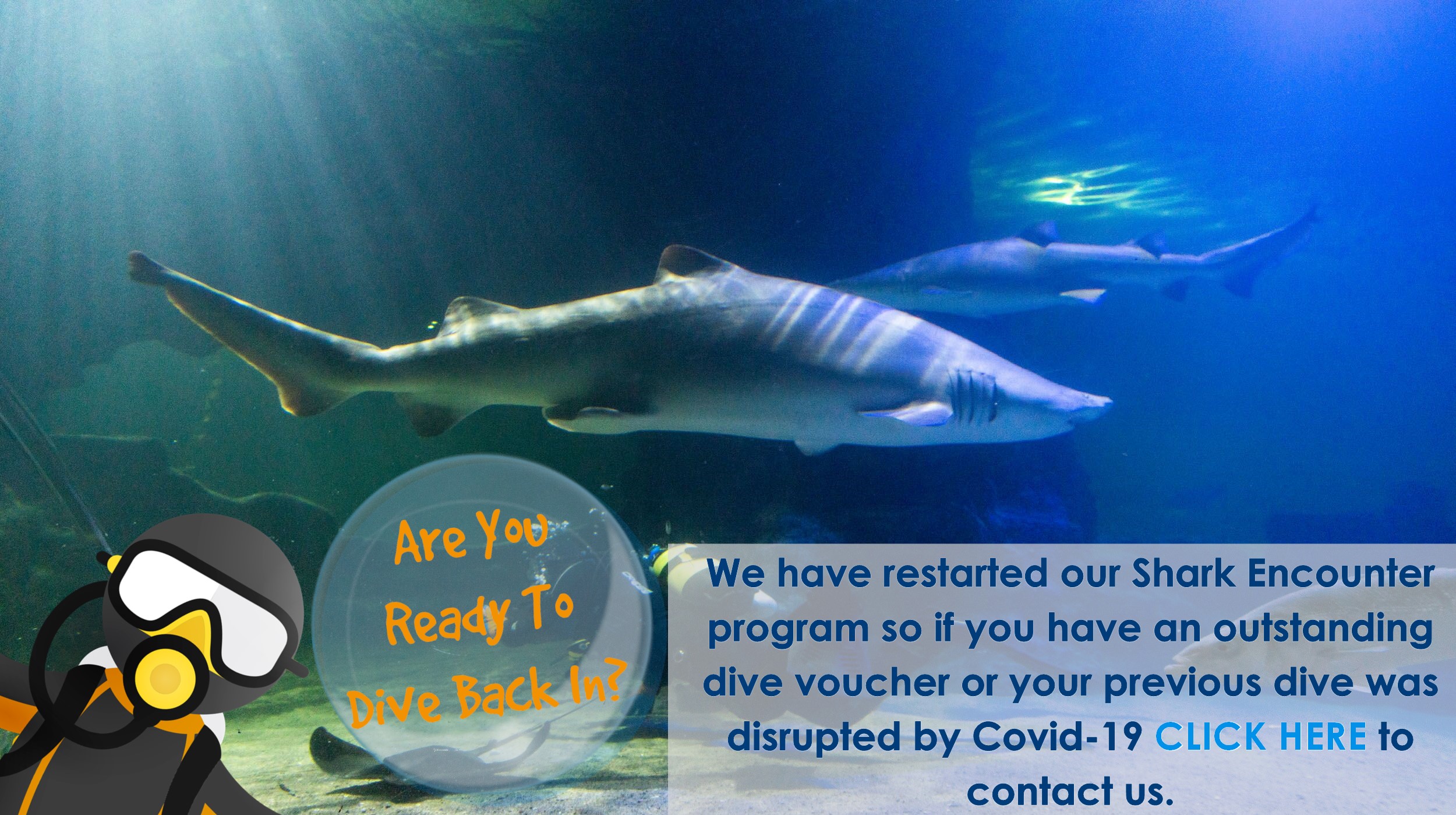 Deepseaworld | Visit Scotland's National Aquarium