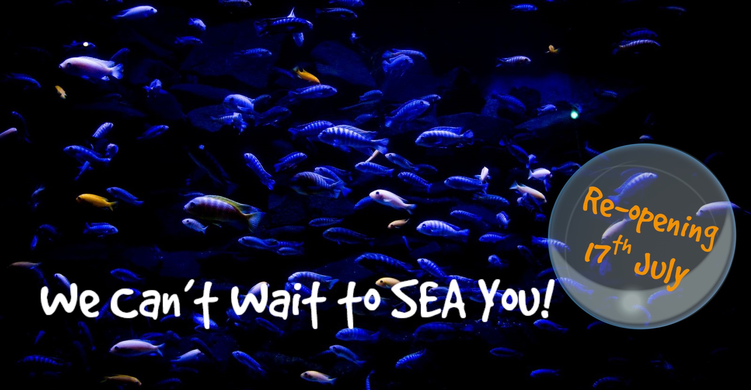 Deepseaworld | Visit Scotland's National Aquarium