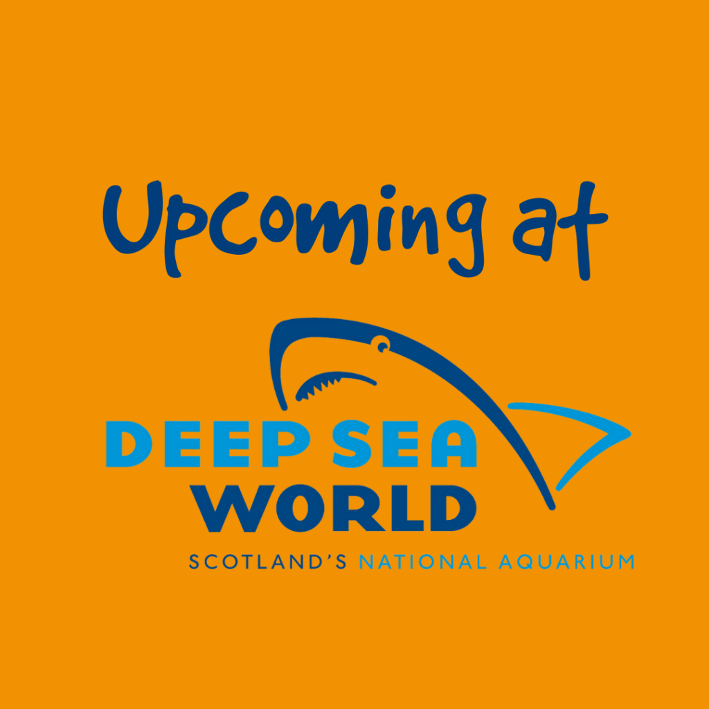 6 Fun Facts about the Alligator Gar | Deep Sea World