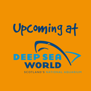 5 Shark Species That Live in Scotland’s Waters | Deep Sea World