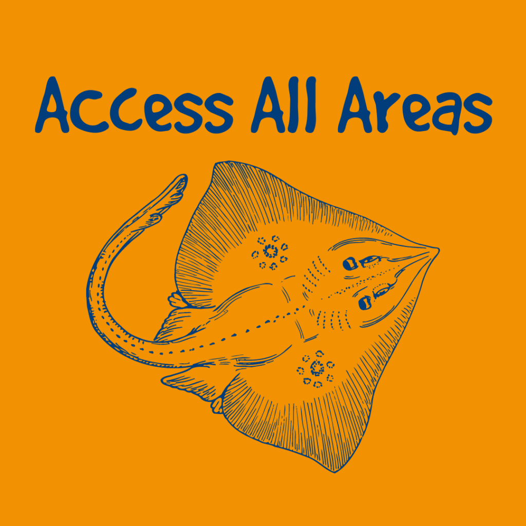 Everything you Need to Know about Seashells | Deep Sea World