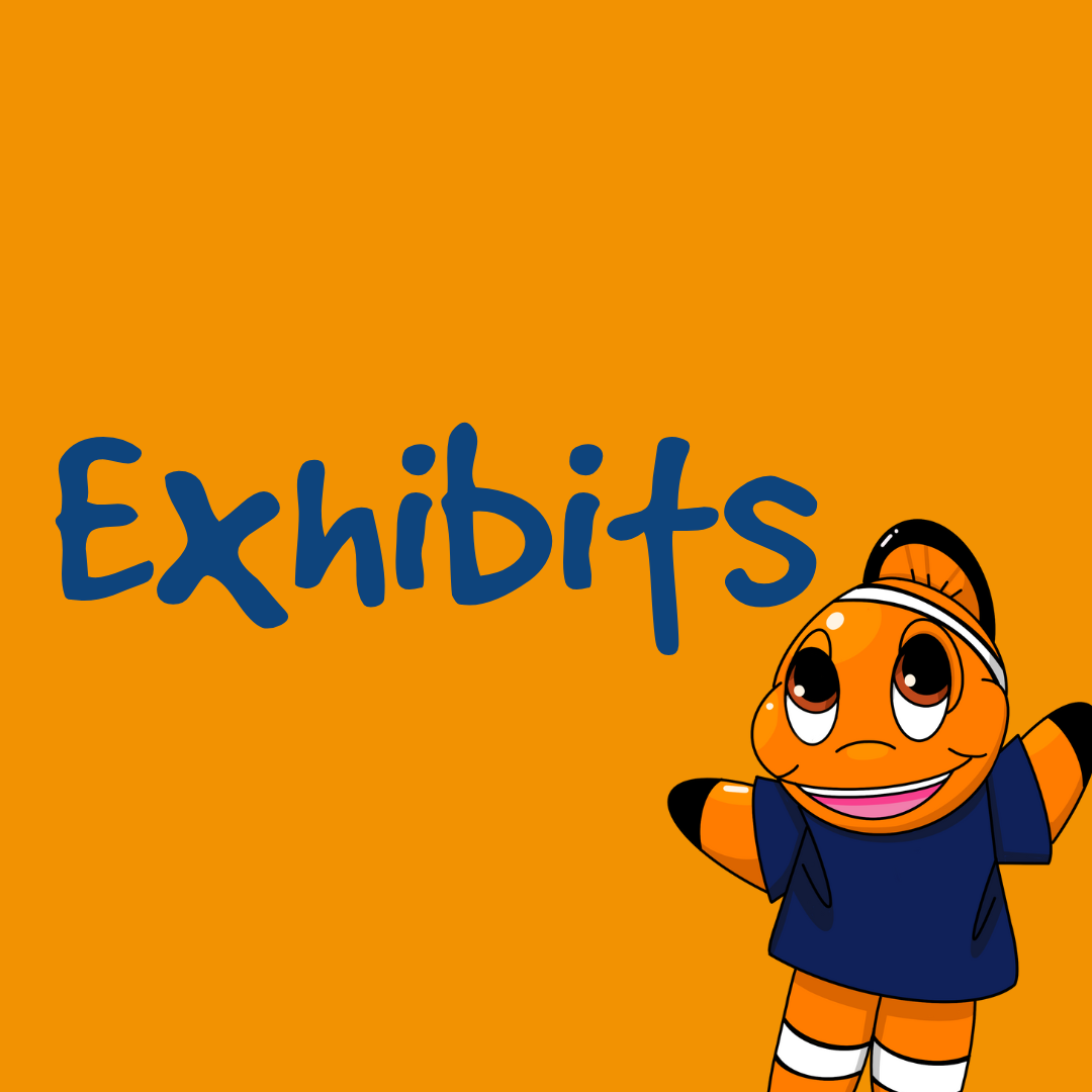 Prices | Visitor Info | Deep Sea World