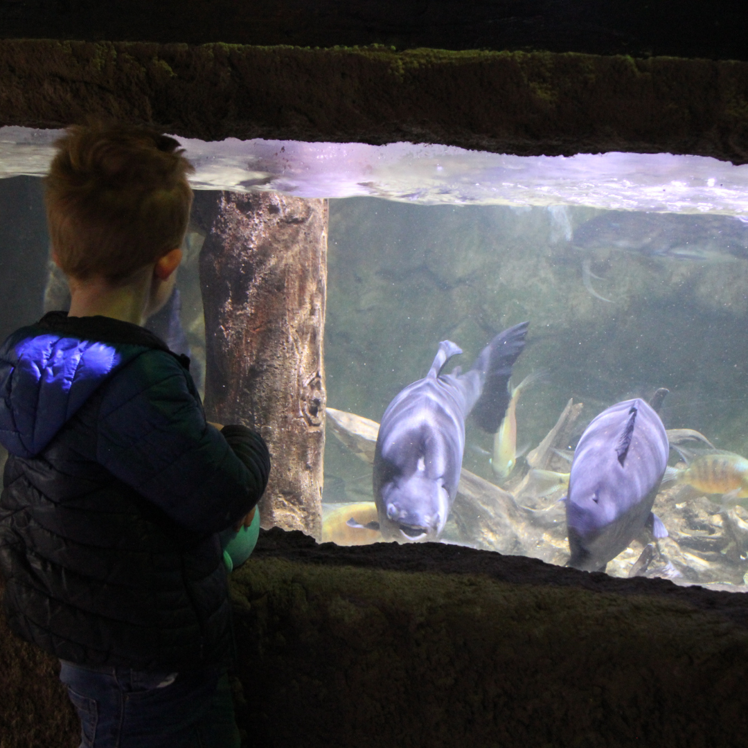 Freshwater | Deep Sea World