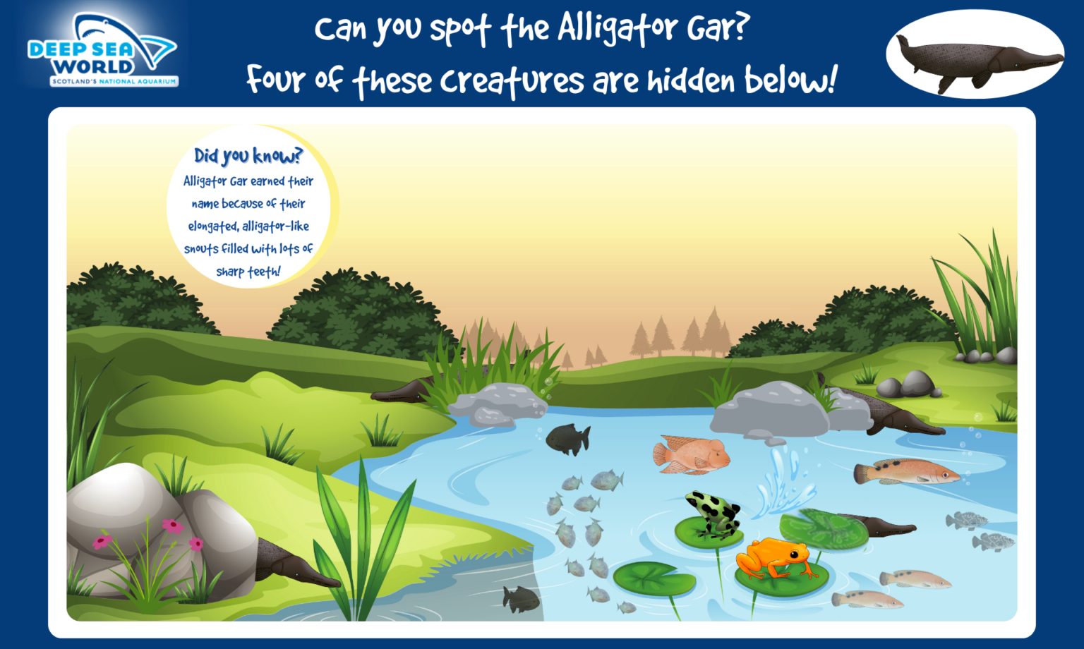 6 Fun Facts about the Alligator Gar | Deep Sea World