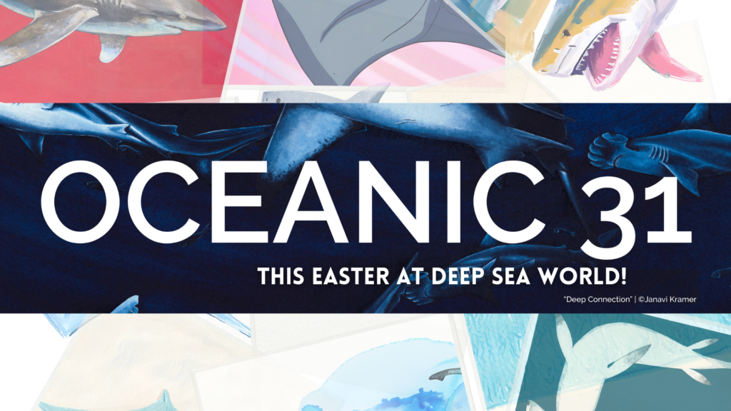 Upcoming Events | Deep Sea World