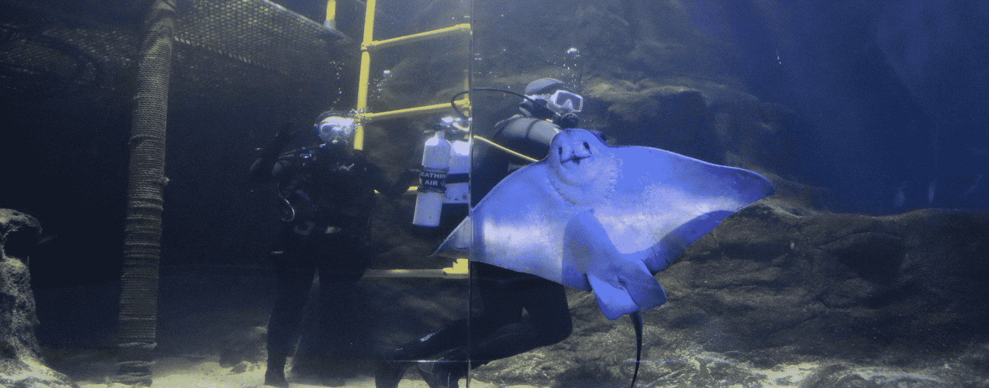 Deep Sea World | Scotland's National Aquarium