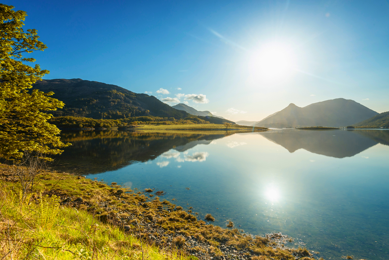 Deep Sea World Are Proud to Work with RSPB | Deep Sea World