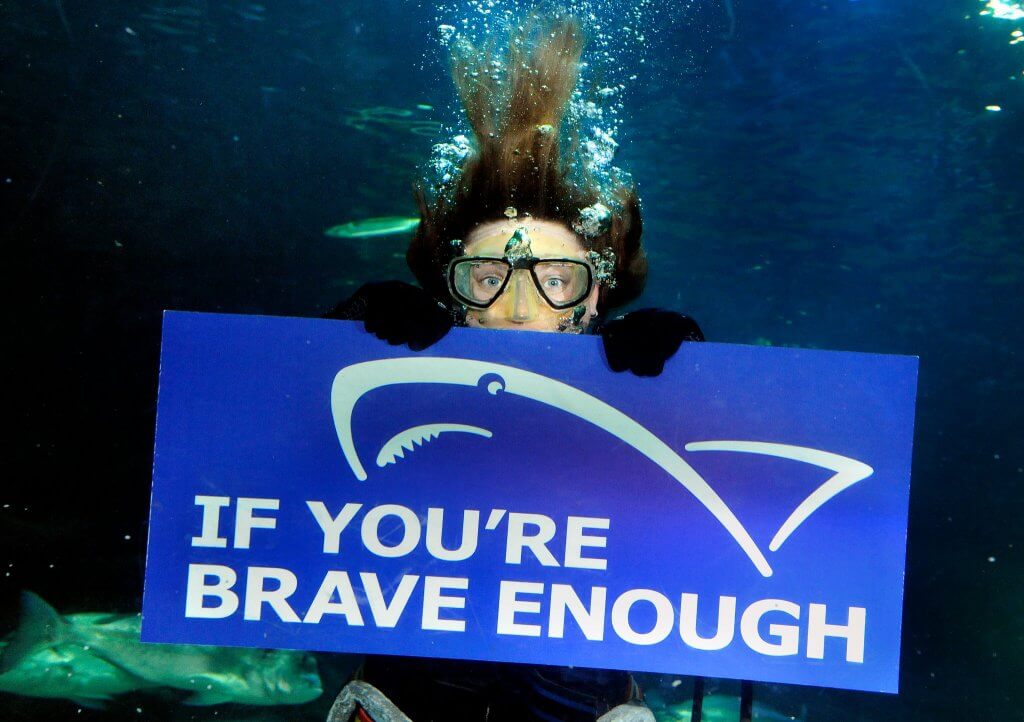 Amazing Places to Dive in Scotland | Deep Sea World