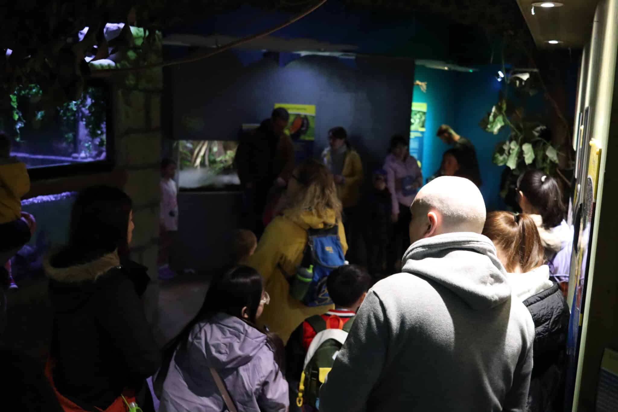 Things to Do in Edinburgh | Deep Sea World