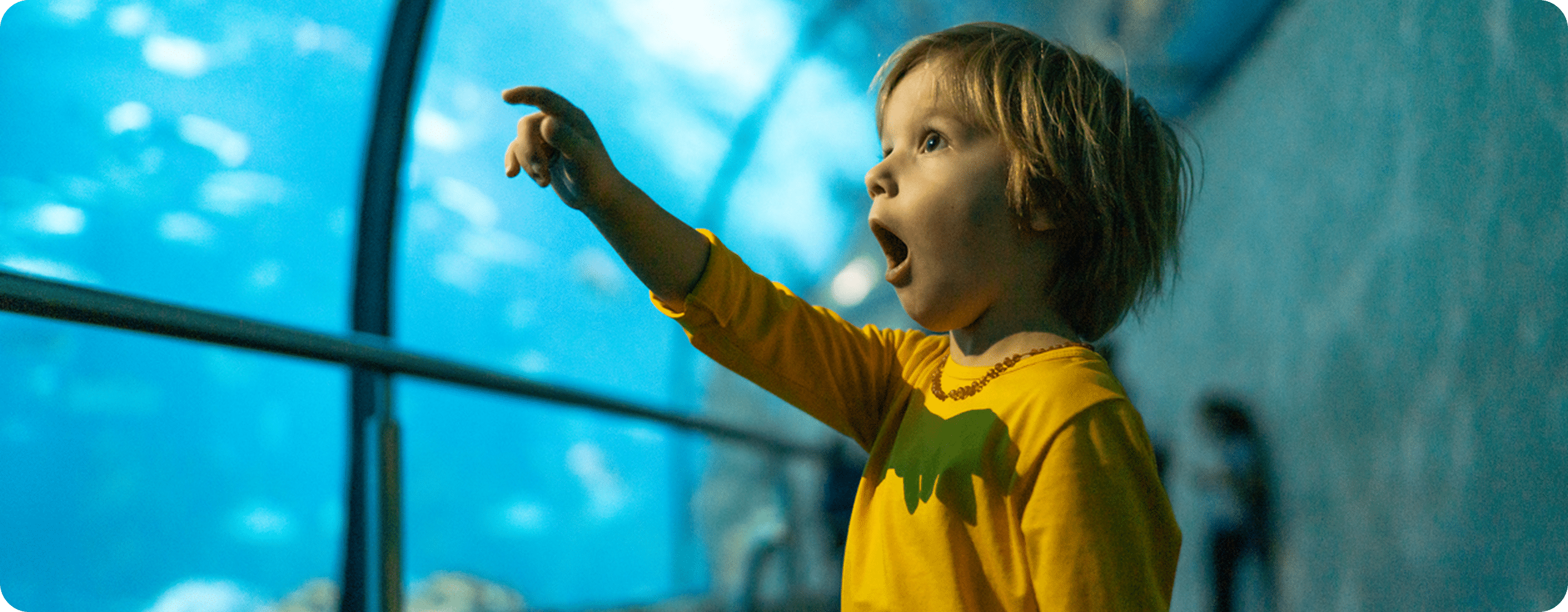 What's On - Deep Sea World