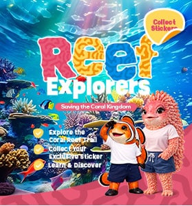 What's On - Deep Sea World